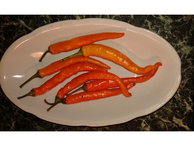 Bulgarian carot-Chili