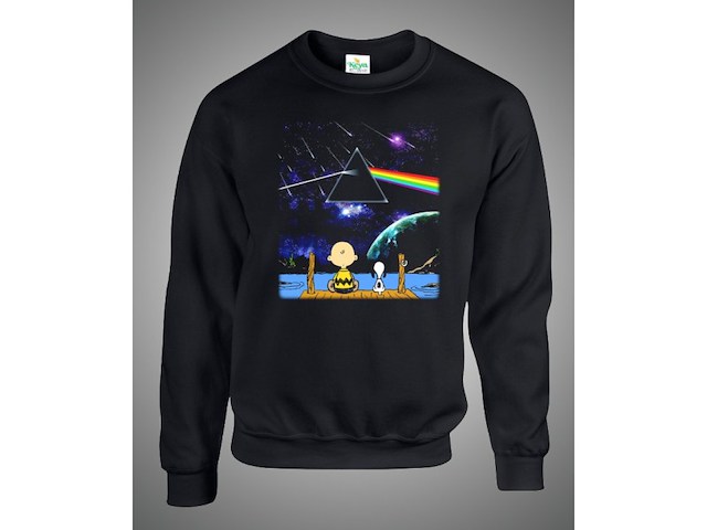 Duks Charlie Brown and Snoopy watch dark side of Moon