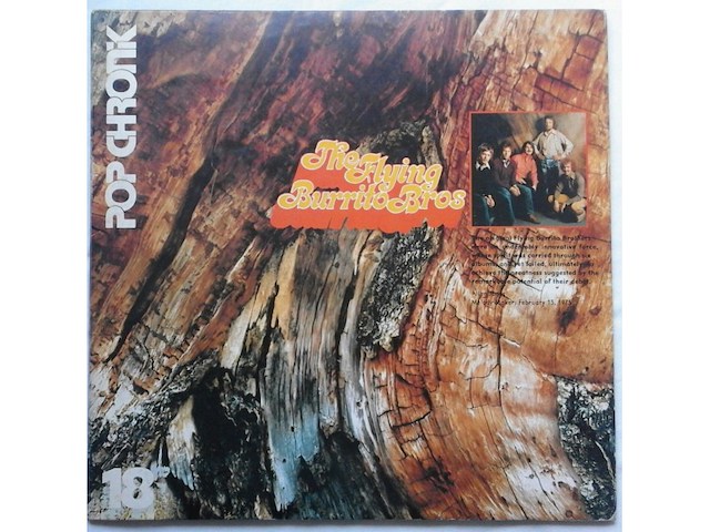 FLYING  BURRITO  BROS.  -  2LP POP CHRONIK