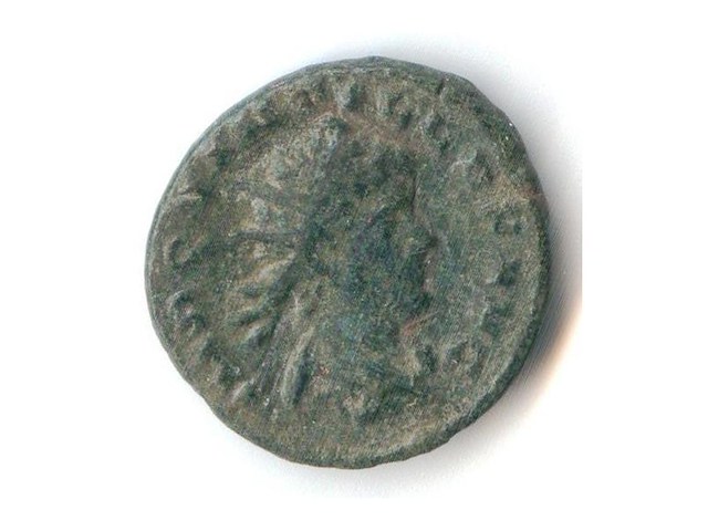 Quintinus antoninianus retko