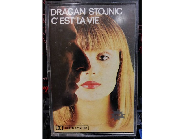 DRAGAN STOJNIĆ - C`EST LA VIE, AK