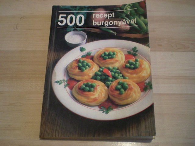 500 recept burgonyaval