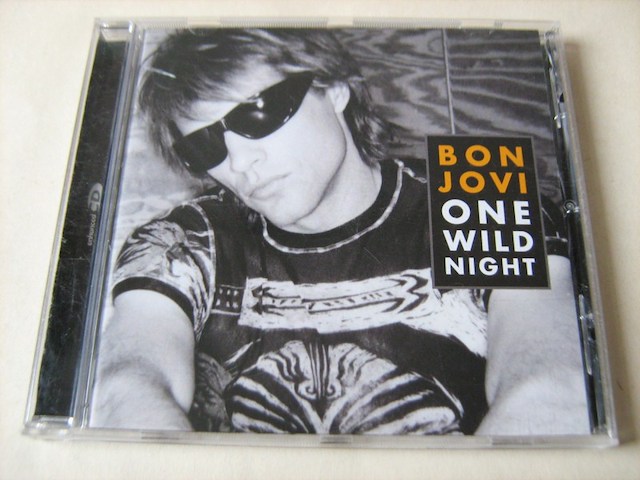 Bon Jovi - One Wild Night