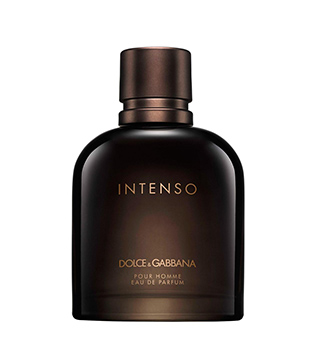 Dolce&Gabbana Pour Homme Intenso tester Dolce&Gabbana parfem
Dolce&Gabbana parfem
eau de parfum, 125 ml