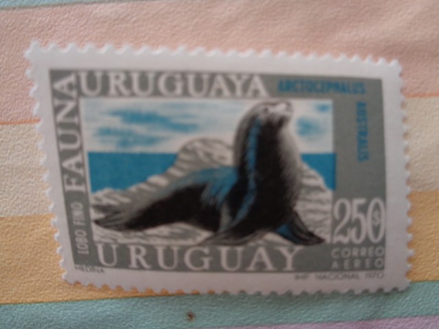 urugvaj10