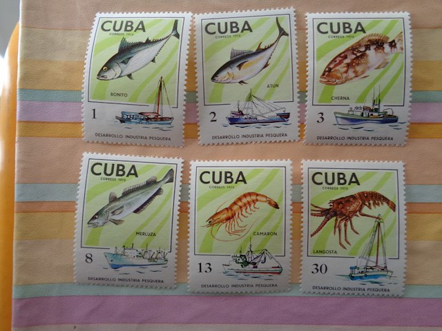 ribe cuba 12