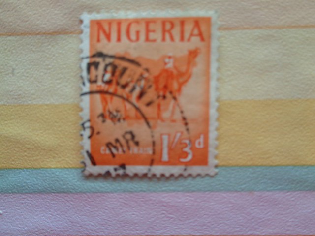 kolon niger 134