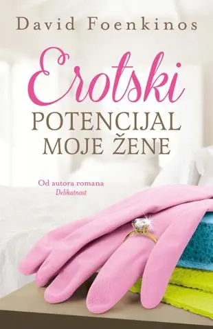 EROTSKI POTENCIJAL MOJE ŽENE - David Foenkinos