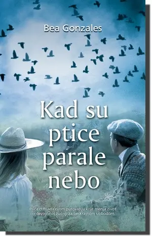 Kad su ptice parale nebo