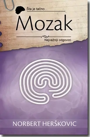 Mozak