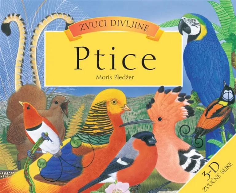 ZVUCI DIVLJINE – PTICE