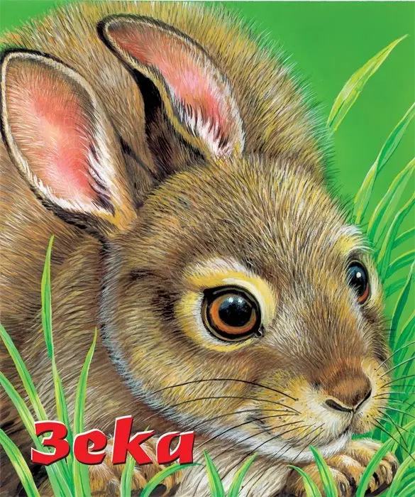 ZEKA