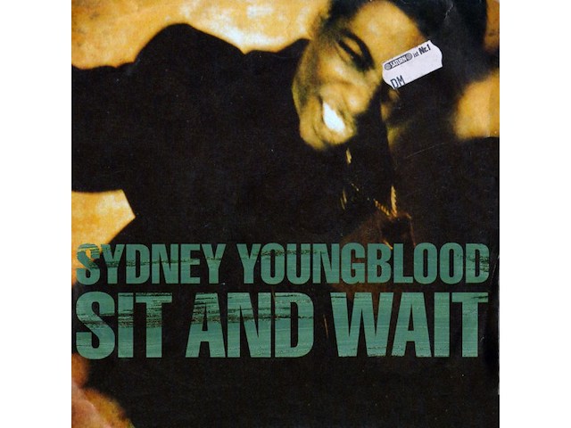 Sydney Youngblood - Sit And Wait