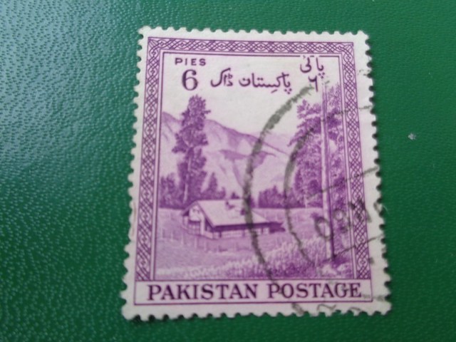 pakistan 8