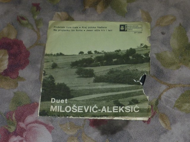 Duet Milosevic Aleksic