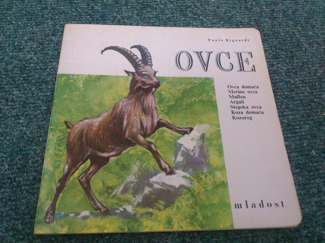 Ovce - Paolo Bignardi