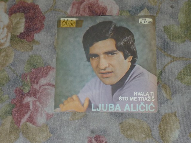 Ljuba Alicicic - Hvala ti sto me trazis