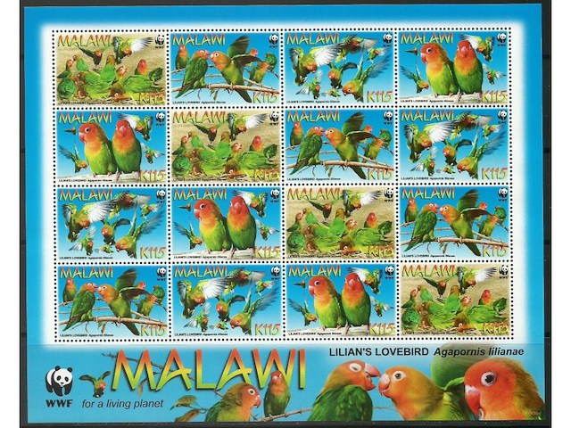 Malavi,Ptice-Papagaji 2009.,tabačić,čisto