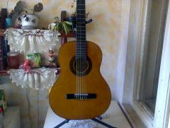 Klasicna gitara italijanska