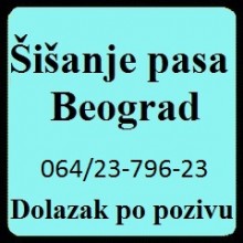 Sisanje pasa profesionalnom opremom beograd