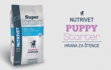 Nutrivet puppy starter - francuska hrana za pse