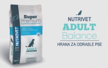 Nutrivet adult balance 23/11 - francuska hrana za pse