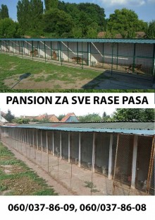 Pansion za sve rase pasa