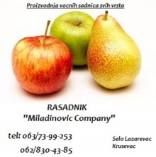 Vocne sadnice - 'miladinovic company'