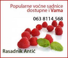 Rasadnik antic