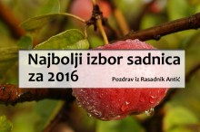 Najbolji izbor sadnica za 2016