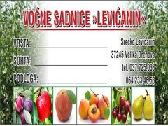 Vocne sadnice