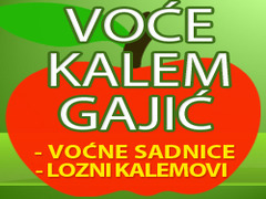 Sertifikovane sadnice voca rasadnika gajic