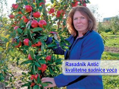 Prodaja sadnica raznog voća i vinove loze