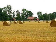 Žitna i sojina slama, usluŽno baliranje