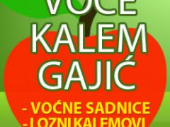 Odlicne sadnice voca- rasadnik gajic!!