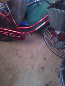 Bicikl sa korpom verona