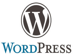 Izrada sajtova u wordpress-u