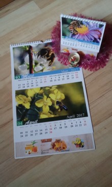 Pčelarski kalendar