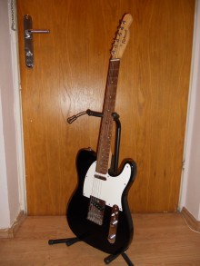 Telecaster richwood