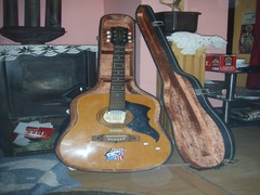 Poluakusticna gitara