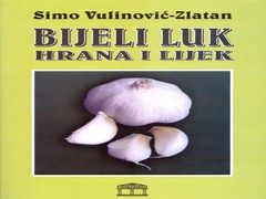 Bijeli luk, hrana i lijek, autor: simo vul