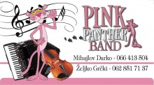 Pink panther band