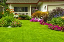 Dvorište, bašta, vrt - uređenje i održavanje