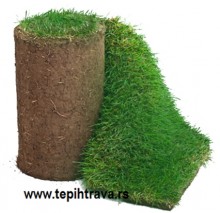 Tepih trava - travnjak za 1 dan !!!