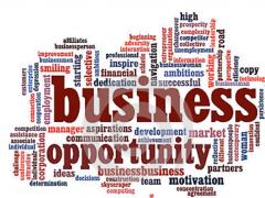 Free internet business opportunity