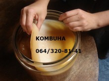 Kombuha – kombucha za dug i zdrav Život