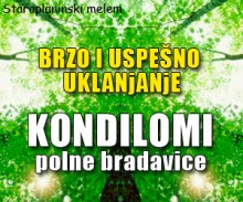 Kondilomi lek losion protiv kondiloma