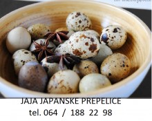 Jaja japanske prepelice