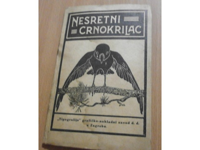 NESRETNI CRNOKRILAC