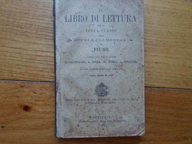 IL LLIBRO DEI LETTURA -RERZA SLASSE DELLE SCUOLE ELEMEN